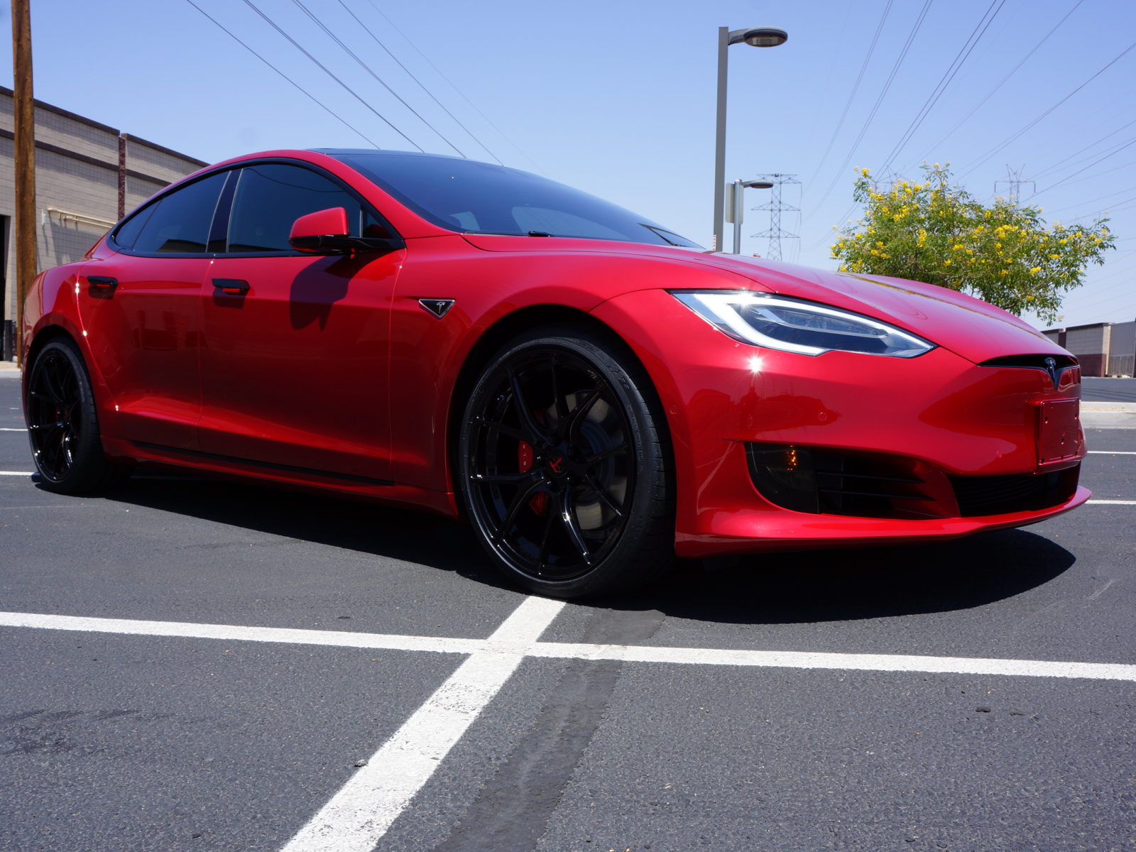 Tesla Model S-Tsportline - Pro Motorsports : Pro Motorsports